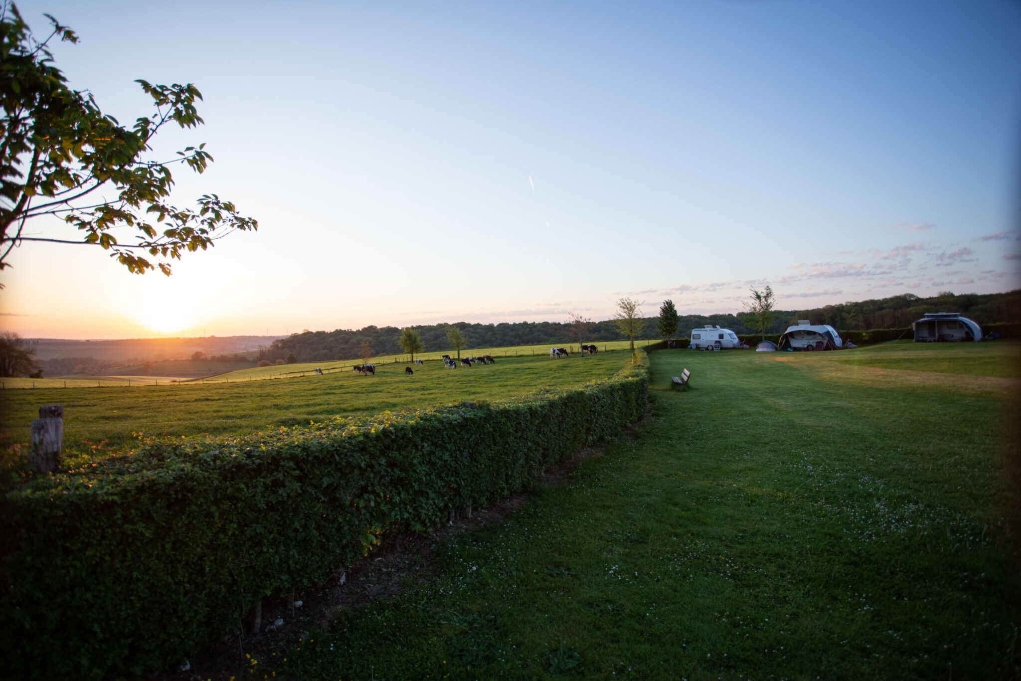 Boerderijcamping Berghemmerhof